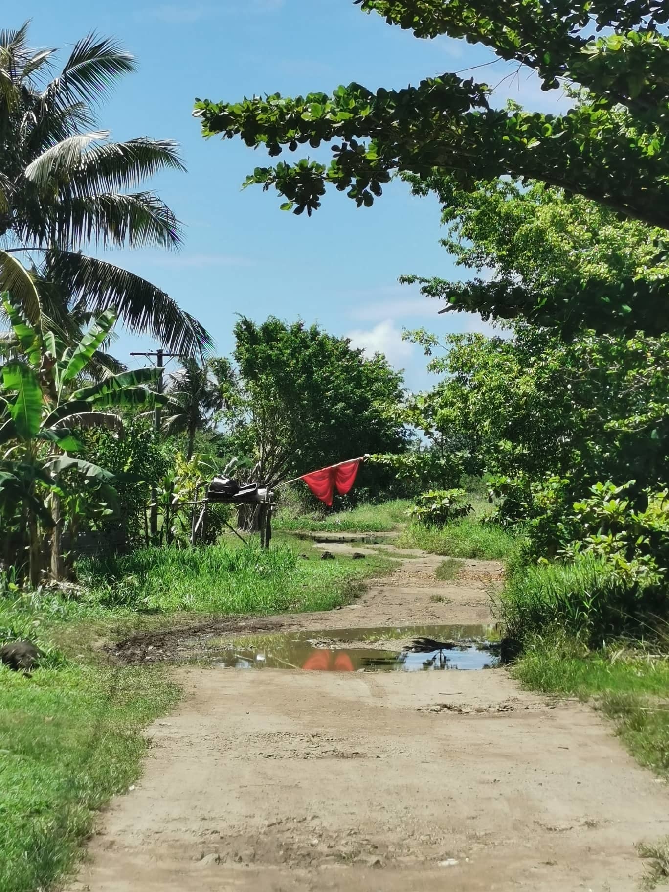 BEYOND THE EMPTY STREETS OF SAMOA — thecoconet.tv - The world’s largest ...
