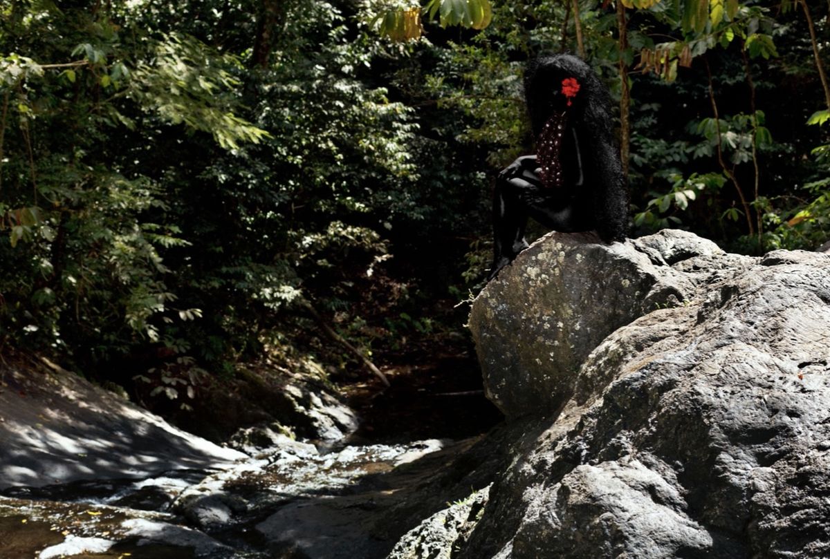 'Telesā' the song — thecoconet.tv - The world’s largest hub of Pacific ...