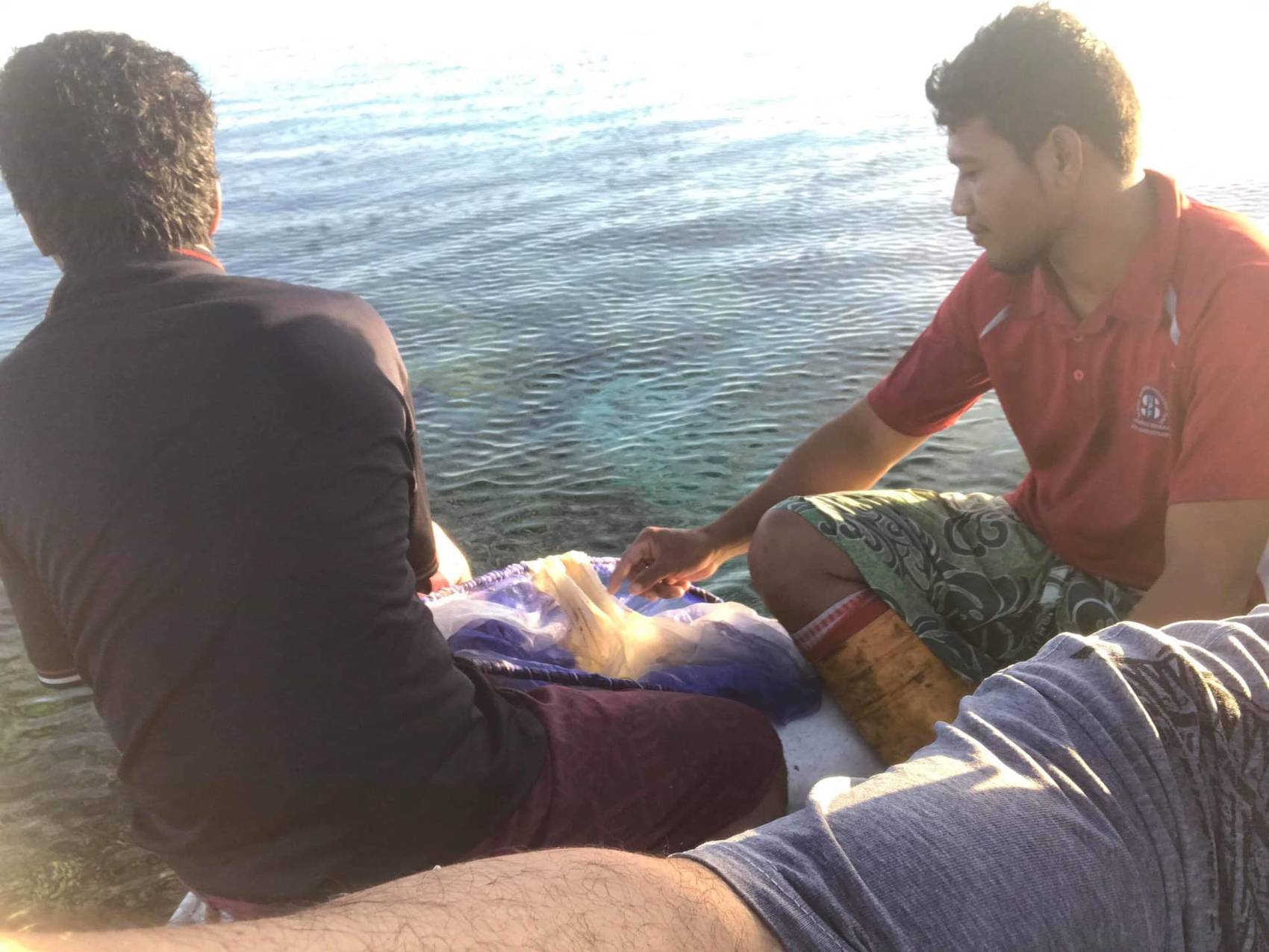 PALOLO RISING — thecoconet.tv - The world’s largest hub of Pacific ...