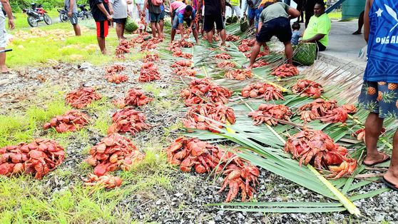 THE TRADITION OF TUA KAI - PUKAPUKA, COOK ISLANDS — thecoconet.tv - The ...