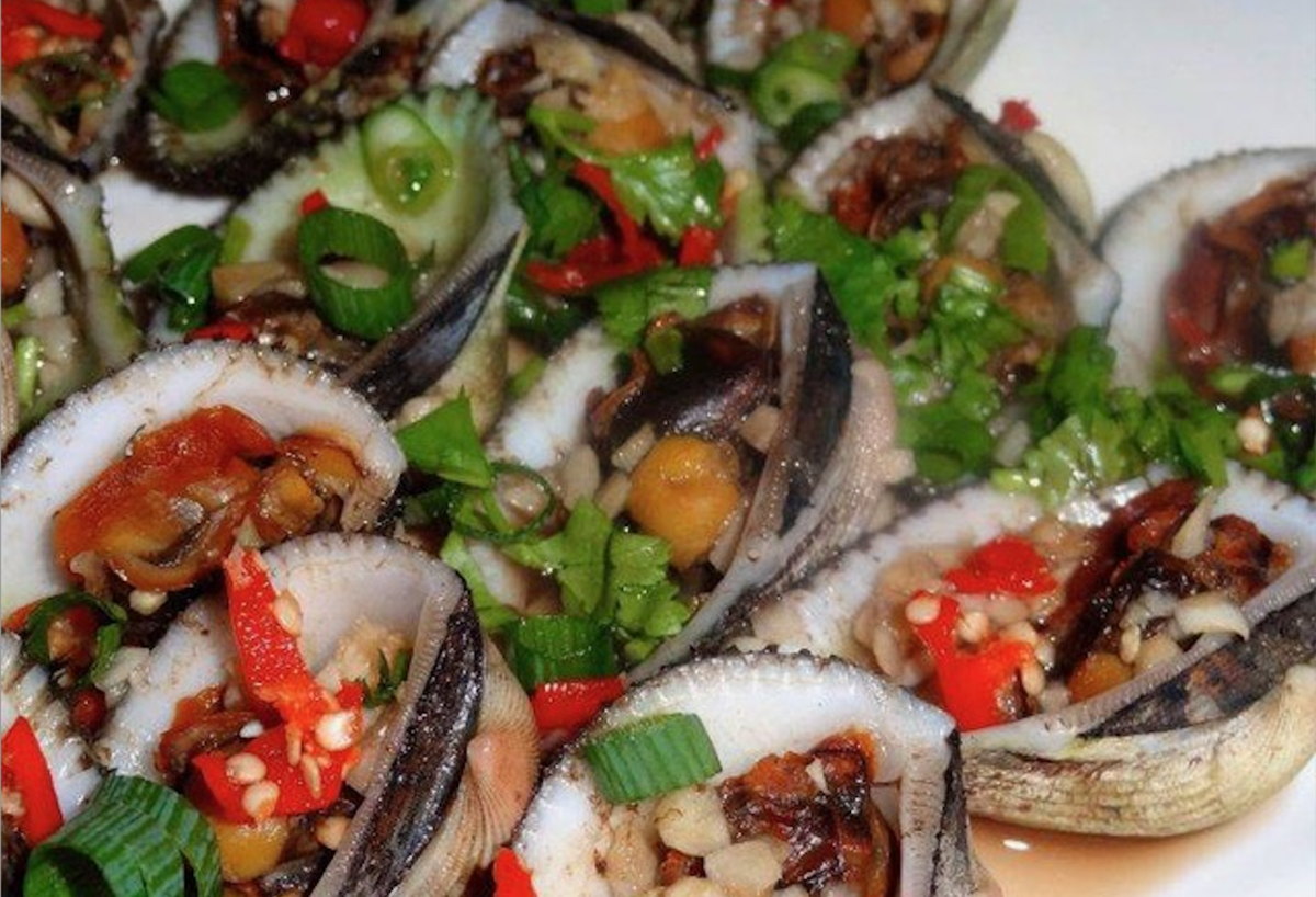 FRESH KAIKOSO (Shellfish) — thecoconet.tv - The world’s largest hub of ...