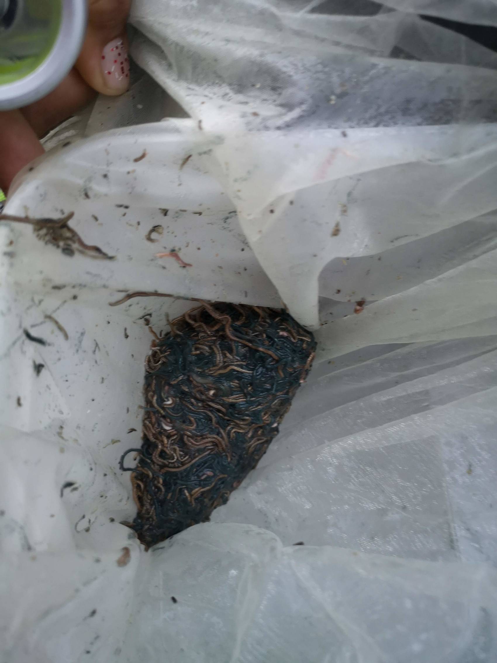 Girls Getaway: An adventure with a chance of Palolo Rising — thecoconet ...