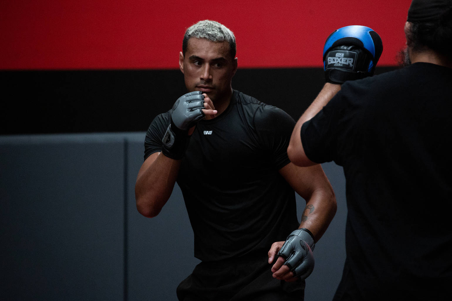 CARLOS ULBERG - Fight Camp — thecoconet.tv - The world’s largest hub of ...