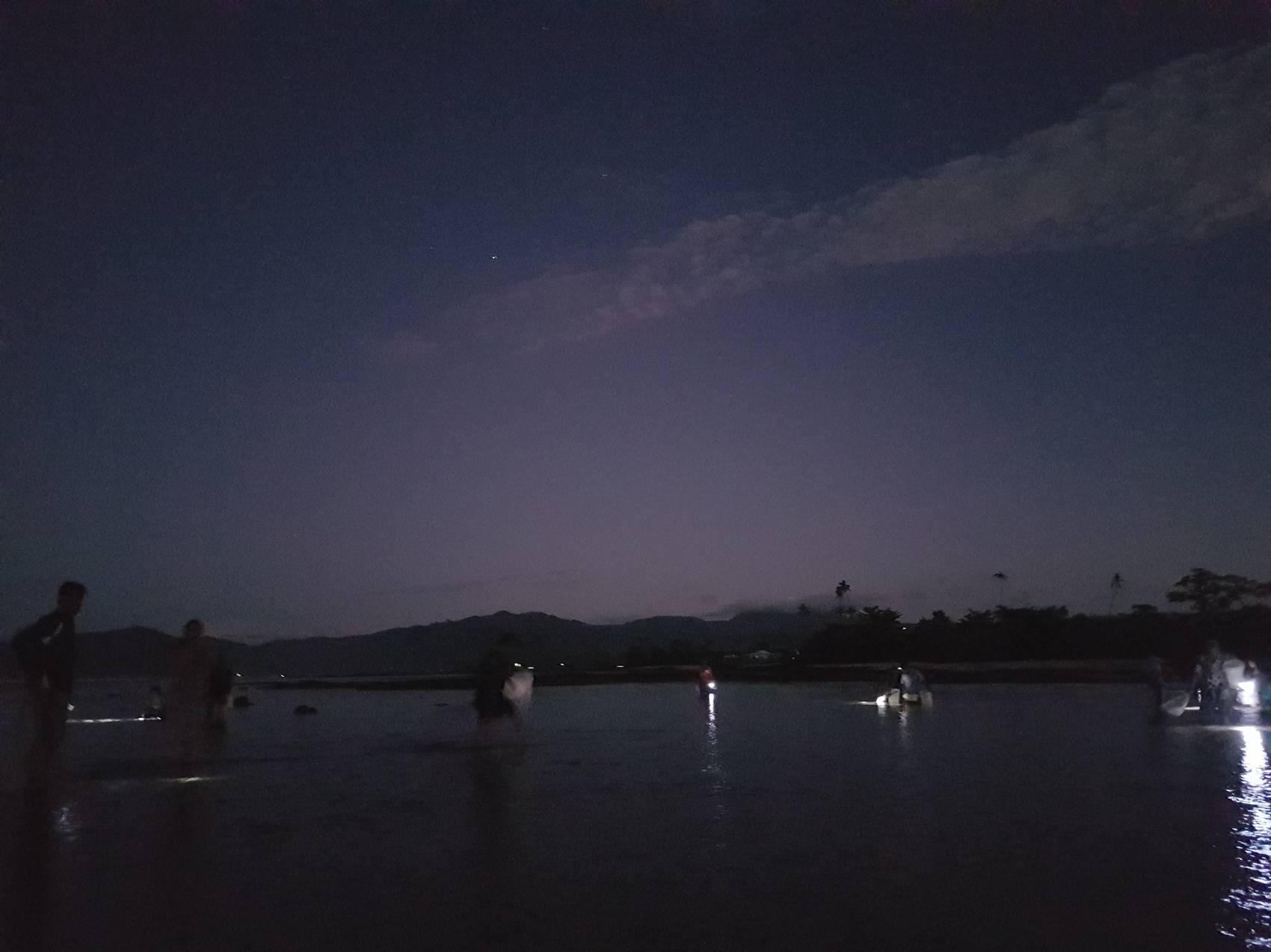 PALOLO RISING — thecoconet.tv - The world’s largest hub of Pacific ...