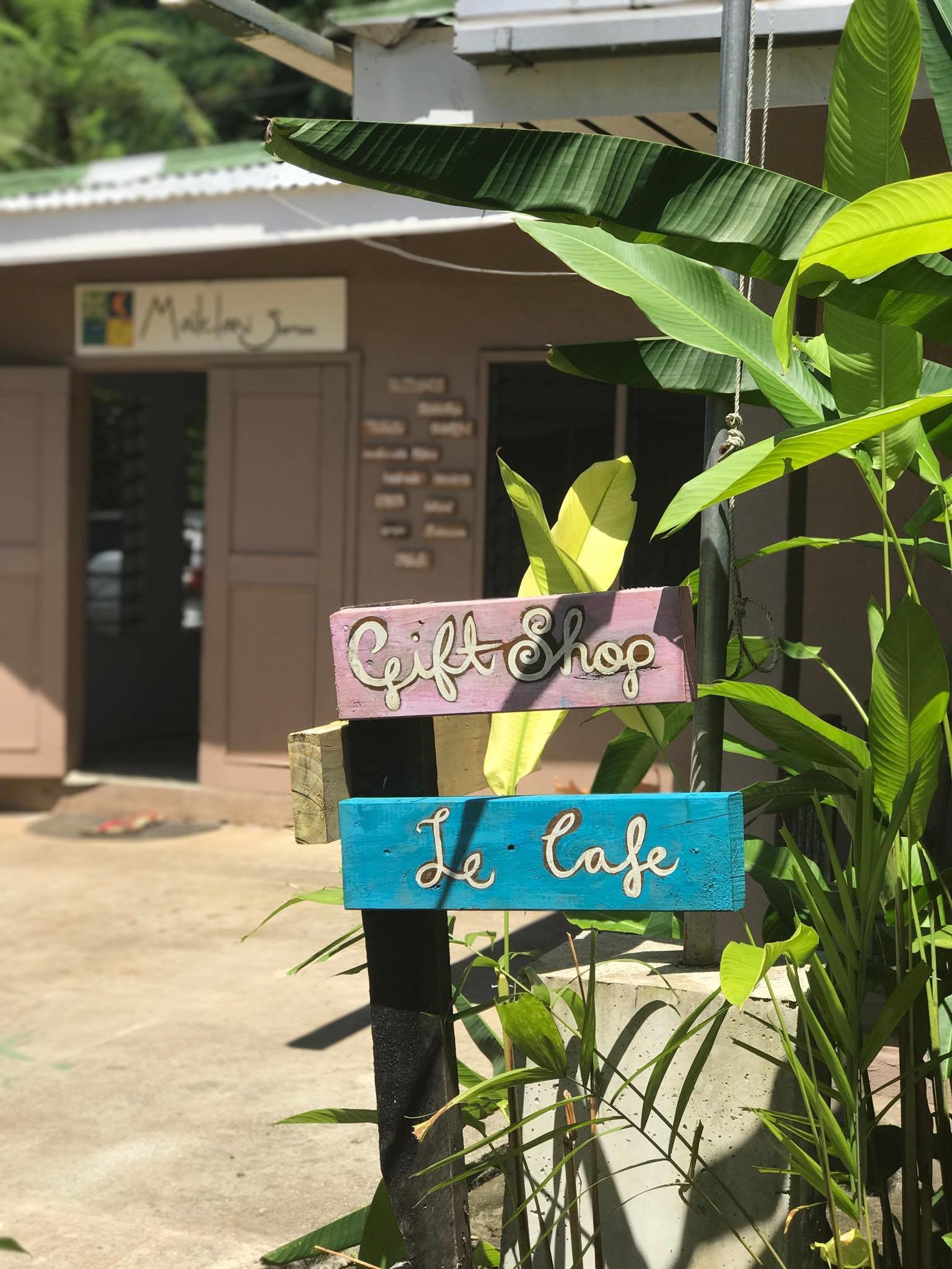 MAILELANI - Organic Samoan Skincare taking over! — thecoconet.tv - The ...