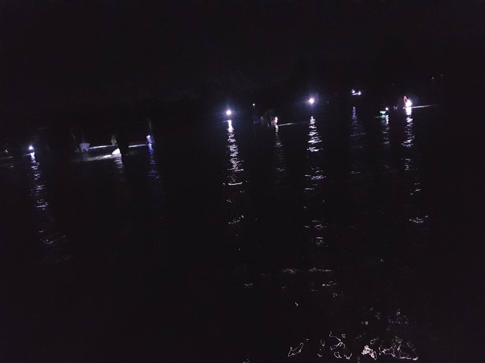 PALOLO RISING — thecoconet.tv - The world’s largest hub of Pacific ...