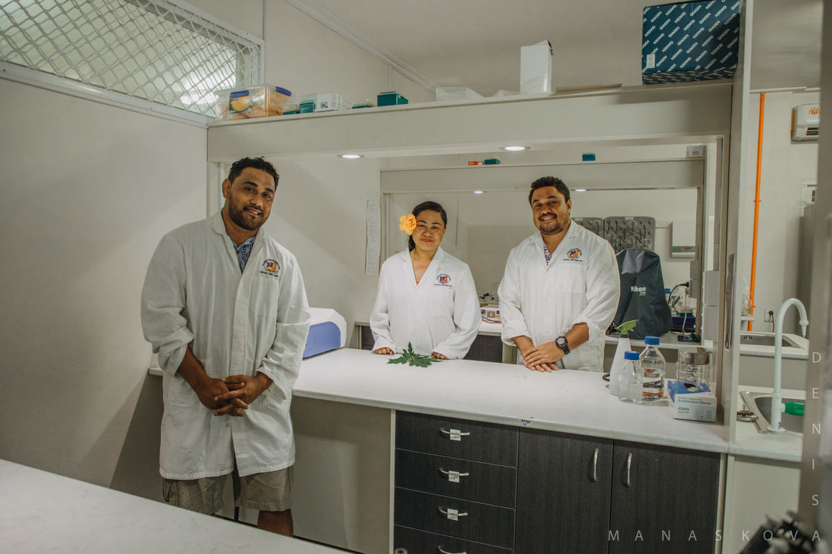 “Witchdoctors” in lab coats: Reclaiming Samoa’s traditional knowledge ...