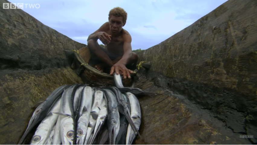 Spider Web Fishing in the Solomon Islands — thecoconet.tv - The world’s ...