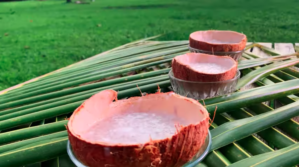 Kuka! Tastes of Beautiful Samoa - Vaisalo — thecoconet.tv - The world’s ...