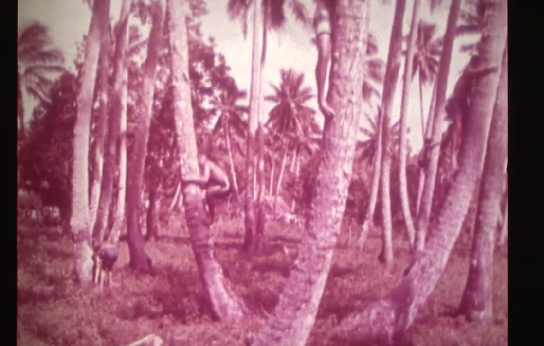 The story of Polynesian People today — thecoconet.tv - The world’s ...