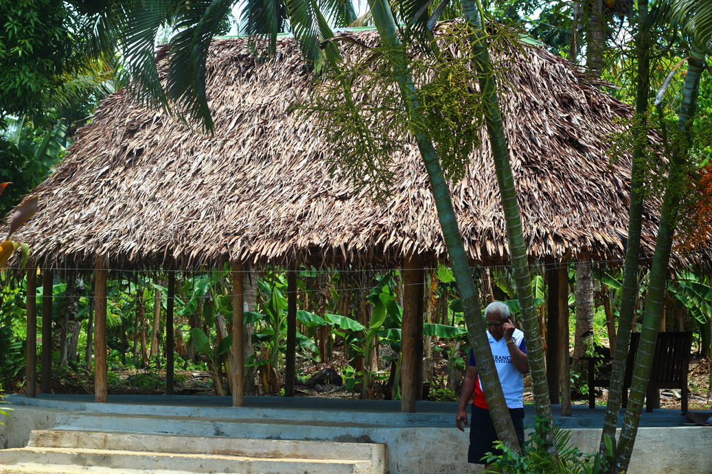 Tales of Taonga - Fau Fale — thecoconet.tv - The world’s largest hub of ...