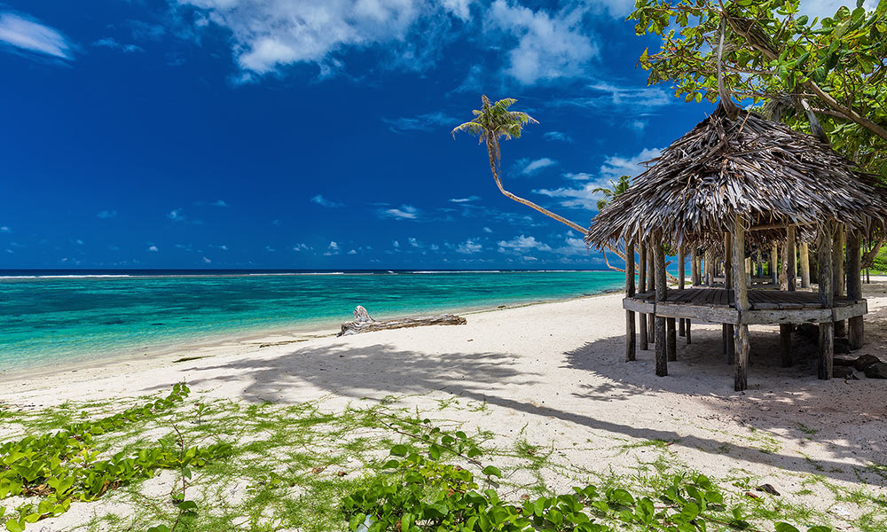 Samoa’s Response: Lessons from a COVID-19 free country — thecoconet.tv ...